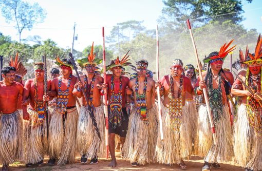 Katukina Tribe (Noke Koi): Tribe Information