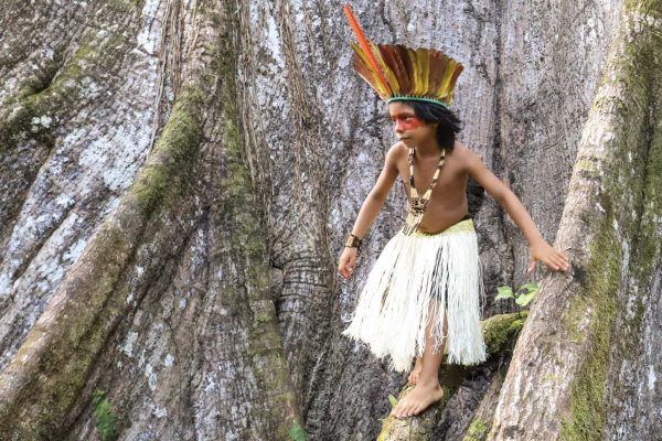 Rapé de la tribu Nukini - SINCHI